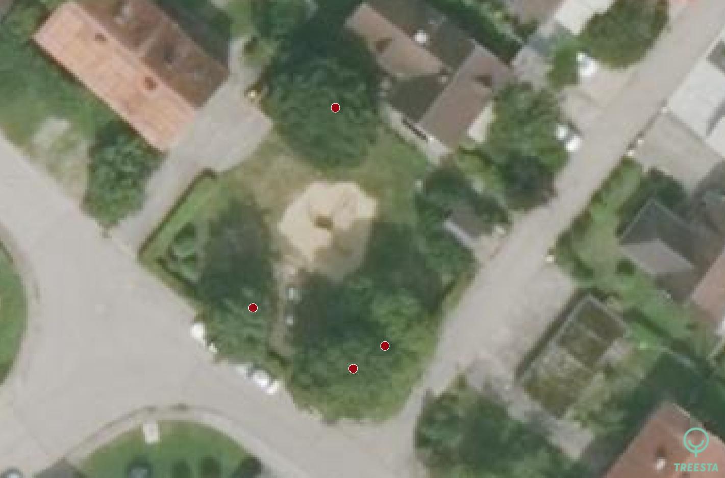 Plugin Treesta Crown Visualizer - Baumsicht